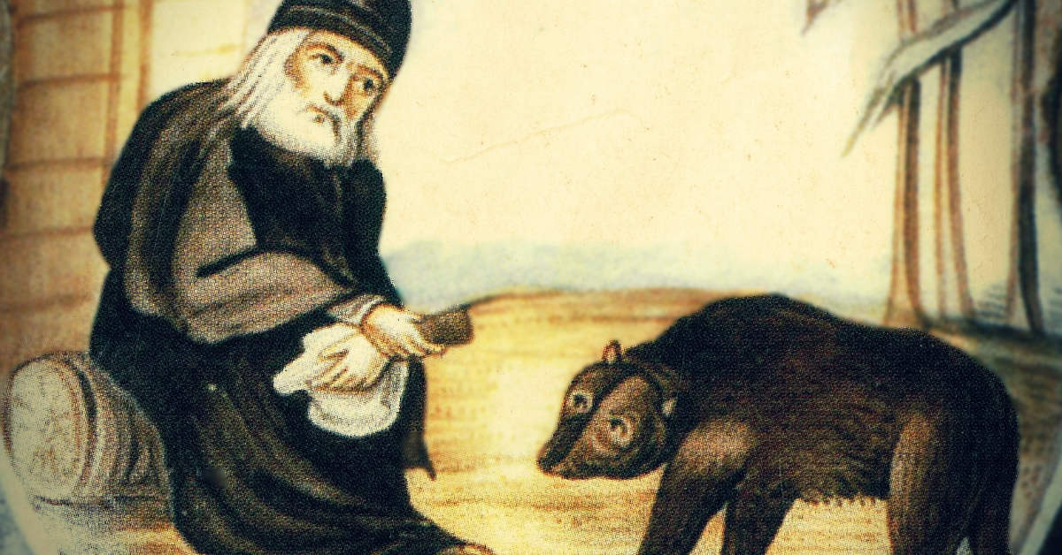 Selbstverwirklichung als Eremitin - Credo online